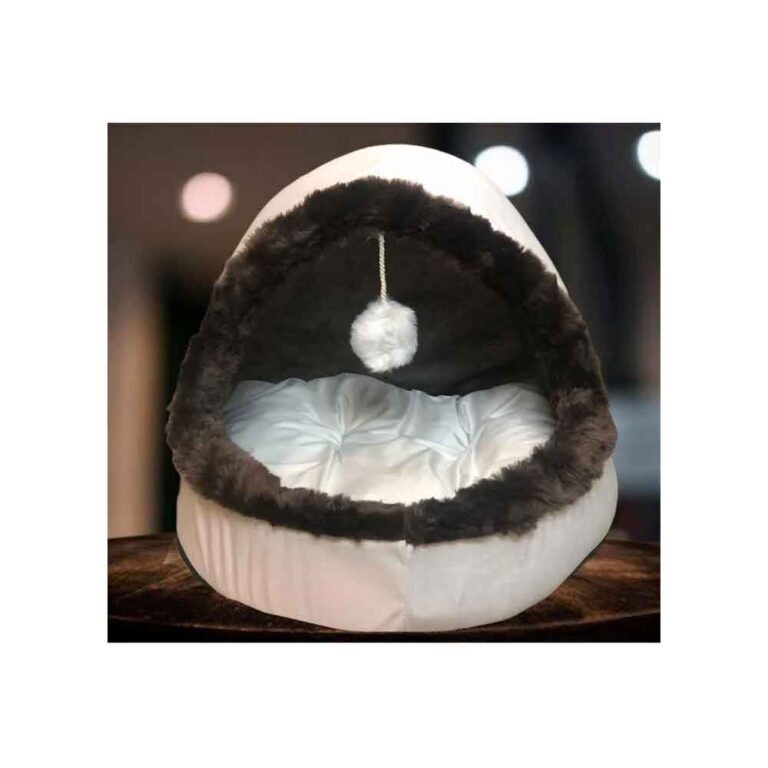 Veranda Cat House in Pakistan